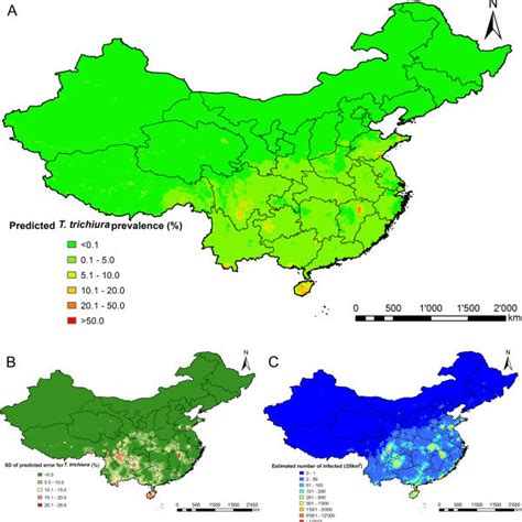 The Geographical Distribution Of Hookworm Infection Risk In P R Download Scientific Diagram