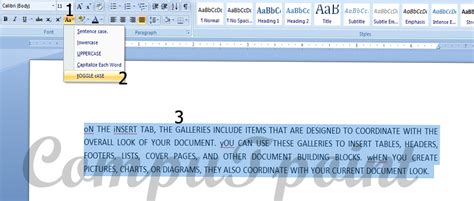 CompuTPoint Change Case Tool In Ms Word