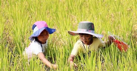 완주와일드푸드축제