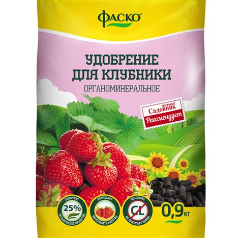 Клубника королева Елизавета: описание ремонтантного сорта, болезни и ...