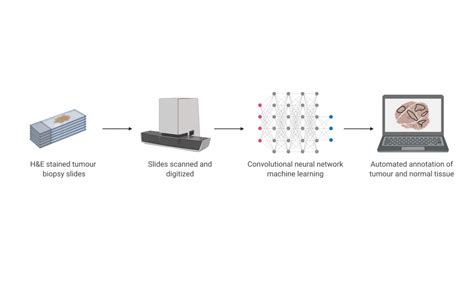 A Deep Learning Based Approach For Colorectal Cancer Diagnostics