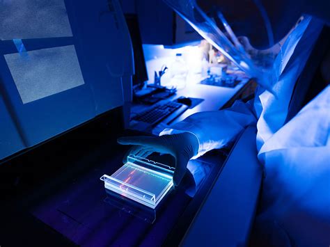 Phenotypic Identification And Characterization System Biolog