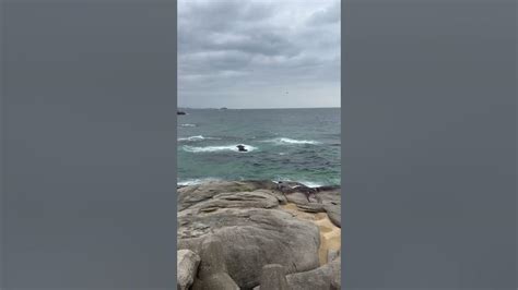 잔잔한 파도소리 Youtube