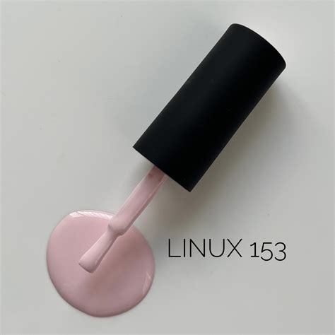 153 LINUX DIdi Lak Shop