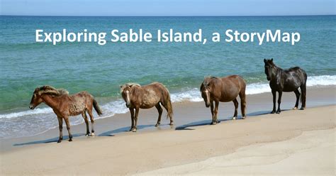 Exploring Sable Island Sable Island Institute