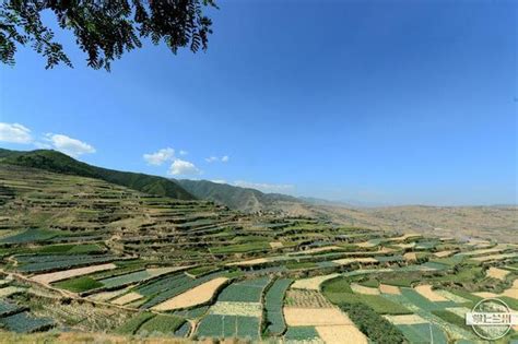 村子美了，道路宽了；产业旺了，村民富了 榆中“沁园春”：绘就乡村振兴的梦幻篇章东方养生频道东方养生