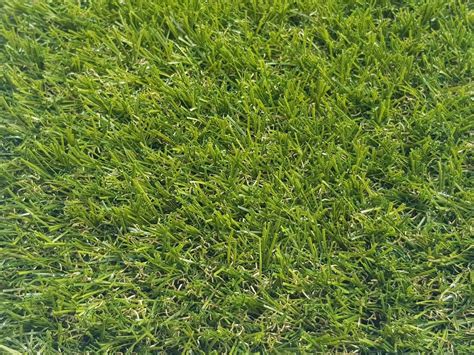 Uks Premier Supplier For Artificial Grass Artificial Grass Direct
