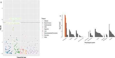 Tissue And Cell Type Specific Enrichment Analysis For Cardiorespiratory