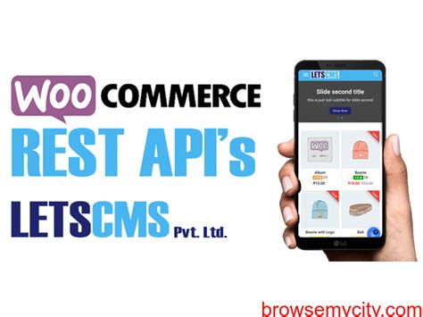 B2c Business To Customer Rest Api For Wordpress B2c Rest Api