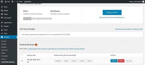 How To Backup A WordPress Site RadiusTheme