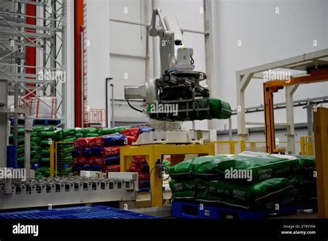 ZHANGJIAKOU CHINA NOVEMBER 28 2023 A Robot Sorts Packed Seeds At