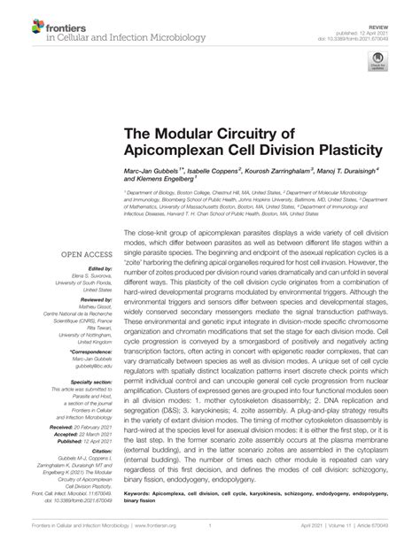 Pdf The Modular Circuitry Of Apicomplexan Cell Division Plasticity