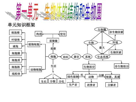 生物和生物圈思维导图 生物和生物圈思维导图图文并茂 图片 网专笔记