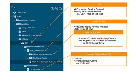 ACI 외부 포워딩 문제 해결 Cisco