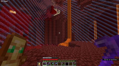 Found 2 Nether World Borders R Minecraft