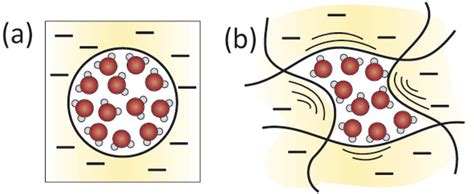 An Illustration Of The Assumptions Used To Calculate The Dielectric Download Scientific Diagram