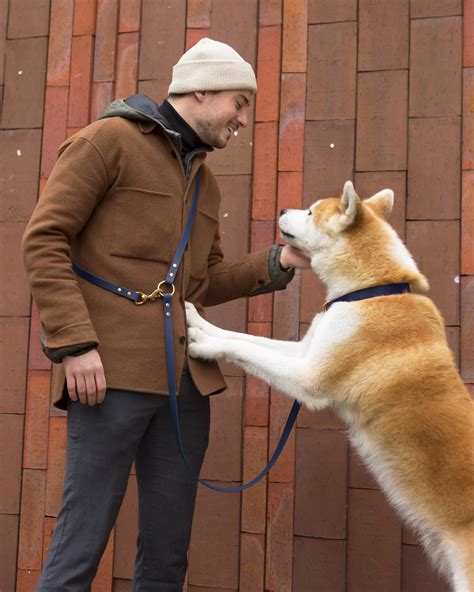 Colliers Harnais Laisses En Biothane® — Chien Chien