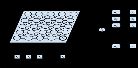 Illustration Of Self Organizing Feature Map Network Download Scientific Diagram