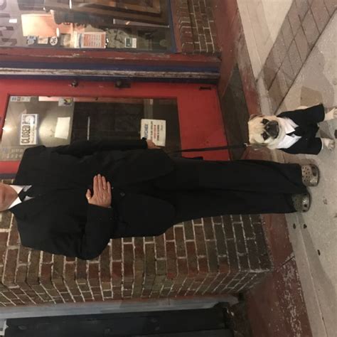 Tailor Made Black Suit Crop Black Suit And Tie Frank The Pug Men