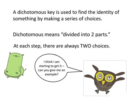 Ppt Dichotomous Keys Powerpoint Presentation Free Download Id2315106