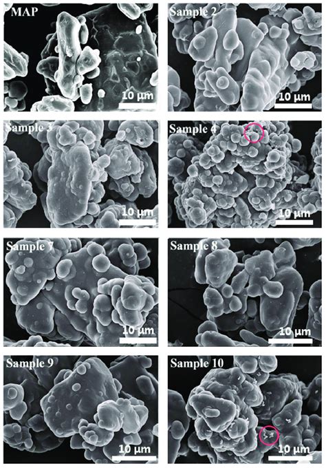 Effect Of Operating Conditions On The Mcmap Micromorphology Red Download Scientific Diagram