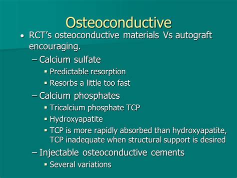 In The Name Of God Ppt Download