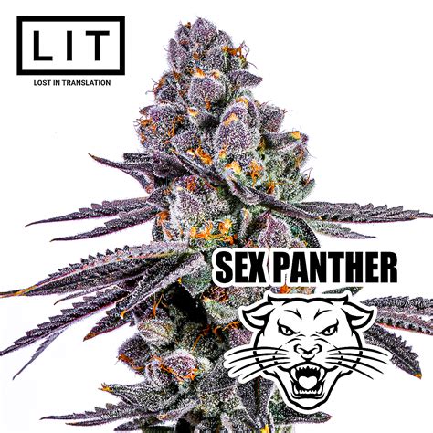 Lit Farms Sex Panther Heritage Seed Bank
