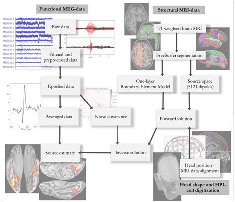 Pipeline For Meg Data Pre Processing And Analysis Hpi Head Position Download Scientific