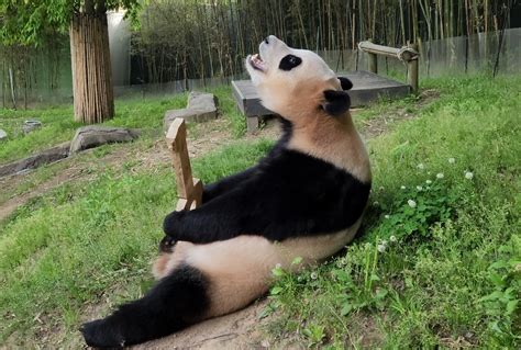 08화 전뚠시나는 낭만 뚠빵이