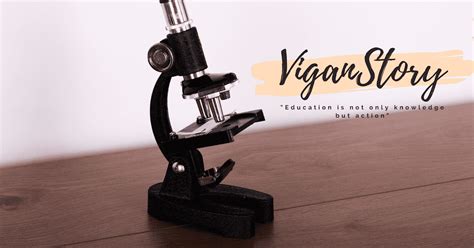 Importance Of Physics In Everyday Life