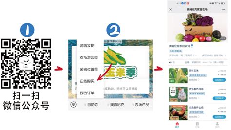 炎炎夏日足不出户尊享农场鲜菜肉蛋 北京华莹农业有限公司