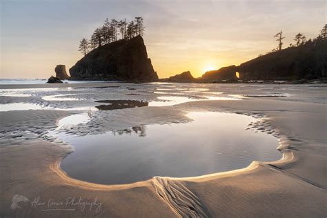 Swimming Olympic National Park Beaches