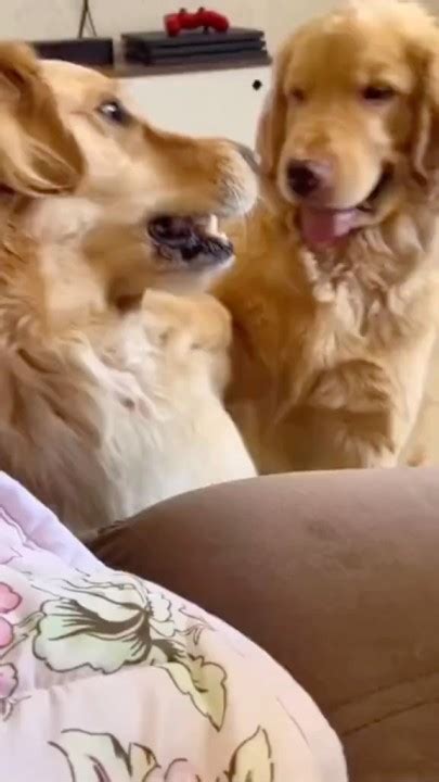 Mihail Mihaylov Posted On Linkedin