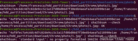 Sha256sum 】检测文件完整性sha256sums文件校验方法 Csdn博客