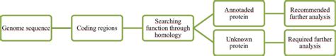 Steps Of The Proceedings In Predicting And Annotation Of Proteins