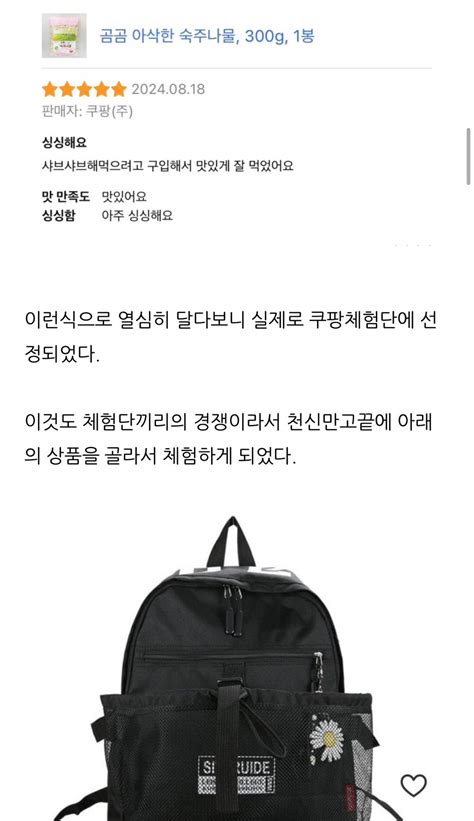 쿠팡체험단으로 내집마련 꿈꾸는 블로거 인스티즈 Instiz 이슈 카테고리