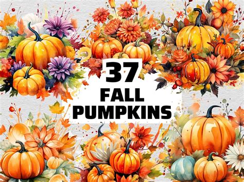 Fall Pumpkins Clipart Fall Pumpkin Png Pumpkins Clipart Etsy