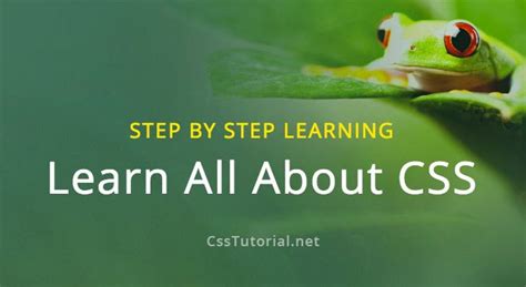 Beginners Css Tutorial For Web Designers Css Tutorial Css Email Design