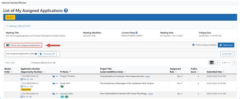 Access Applications Era