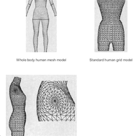 Mesh Model Reconstruction Results Download Scientific Diagram
