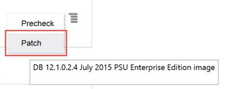 Patching A Dbaas Database In The Oracle Cloud