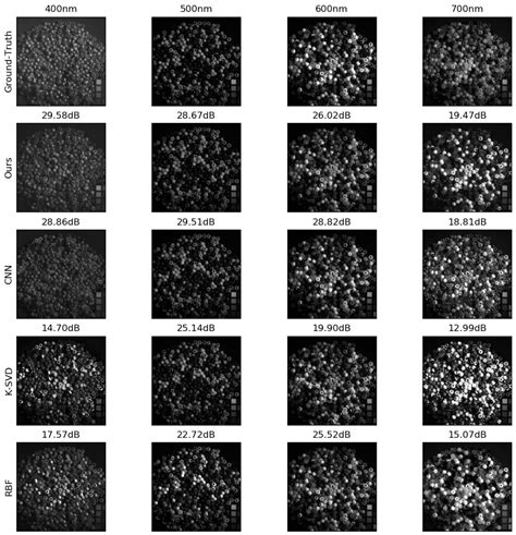 Mathematics Free Full Text Tensor Based Sparse Representation For Hyperspectral Image