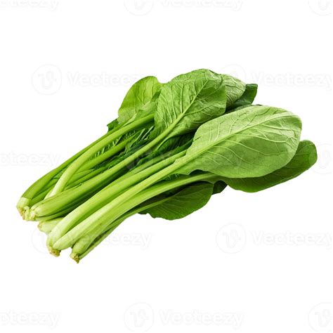Spinach Png Transparent Background PNG