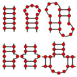 Different Types Of RNA Secondary Structures First Structure Download Scientific Diagram