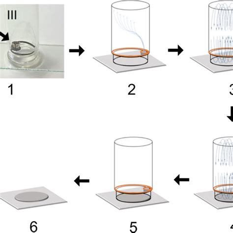 Arrhenius Plot For The Deposition Of Precursor 1 On Float Glass Download Scientific Diagram