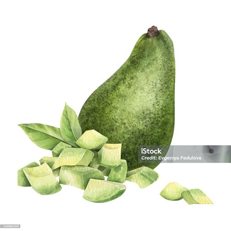 전체 그린 아보카도 깍둑썰기한 조각과 잎을 쌓습니다 고립 된 손으로 그린 수채화 음식 비건 야채 메뉴 식품 및 화장품 포장 직물 카드 레시피 건강한 식생활에 대한 스톡 벡터