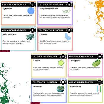 Cell Structure Function Flashcards Essential Biology Study Tool