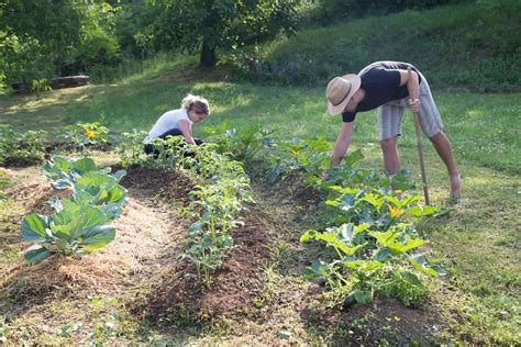 Design A Permaculture Garden The 12 Principles To Follow