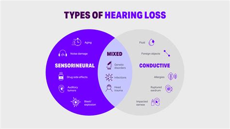 Conductive Hearing Loss Diagram