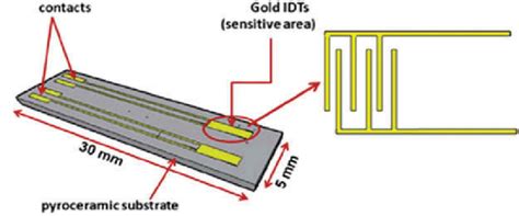 Scheme Of The Conductometric Transducer With Gold Interdigitated